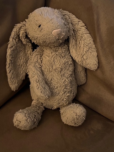 Stuffies On Parade – Seventy In the City
